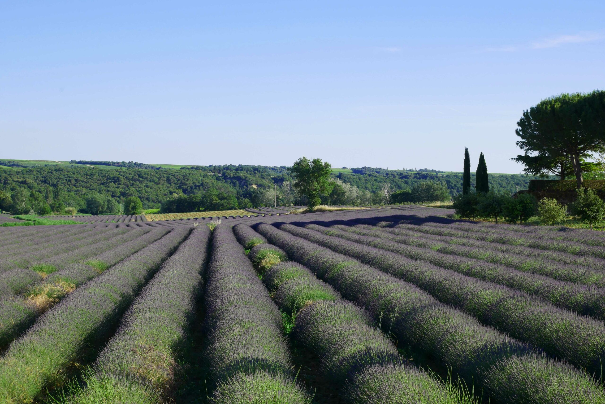 Visite du village médiéval de Séguret en Provence