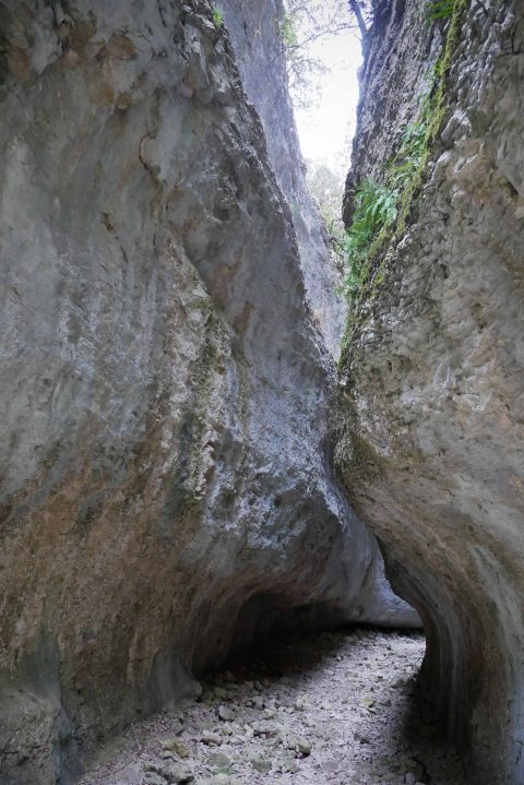 Randonnée mystique dans la Combe de Curnier du Mont Ventoux